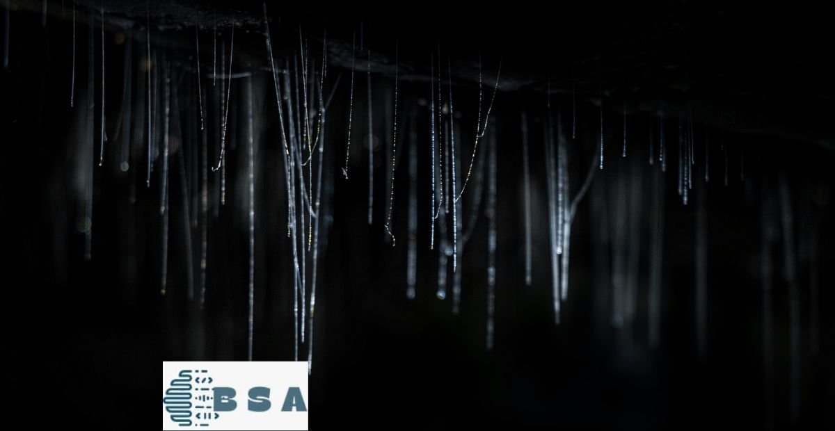 Unraveling the Mystery of Mystery Bang Animation